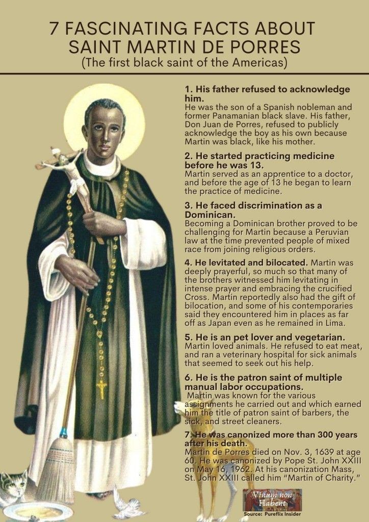 St. Martin de Pottes: 7 Fascinerende Feiten over Sint Martinus de ...